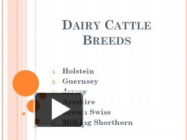 Dairy Cattle Breeds presentation | free to view