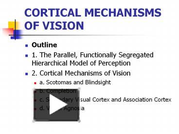 PPT – CORTICAL MECHANISMS OF VISION PowerPoint presentation | free to view - id: 7f51b-ZTIwM