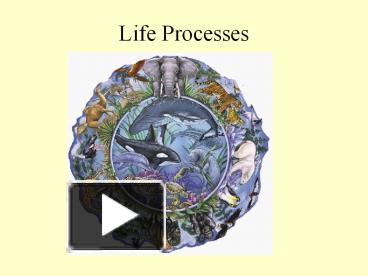 PPT – Life Processes PowerPoint presentation | free to view - id ...