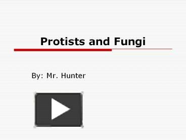 PPT – Protists and Fungi PowerPoint presentation | free to download ...