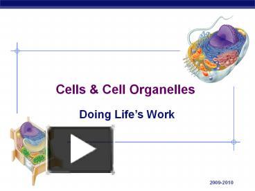 PPT – Tour of Cell Organelles PowerPoint presentation | free to view ...