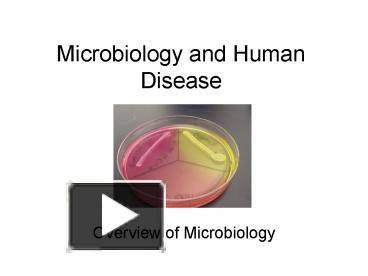 Microbiology and Human Disease presentation | free to view