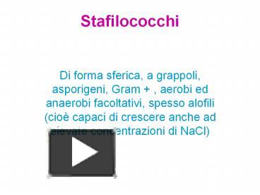 Stafilococchi presentation | free to download