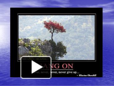 Beef Breeds and Selection Agriscience I presentation | free to download