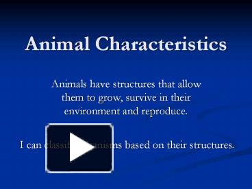 PPT – Animal Characteristics PowerPoint presentation | free to view ...