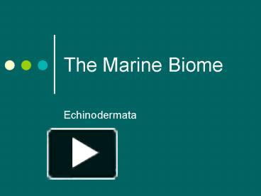The Marine Biome presentation | free to view
