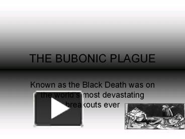 PPT – THE BUBONIC PLAGUE PowerPoint presentation | free to view - id ...