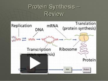 Protein Synthesis presentation | free to download