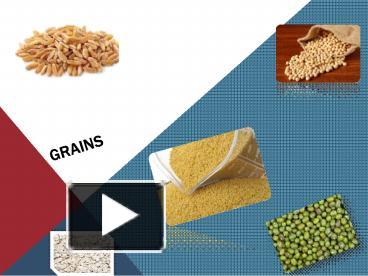 PPT – Grains PowerPoint presentation | free to download - id: 81b23a-M2NlY