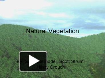 PPT – Natural Vegetation PowerPoint presentation | free to view - id ...