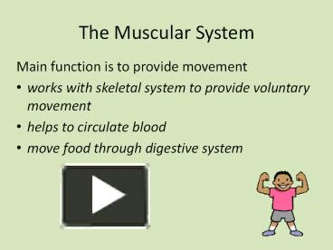 PPT – The Muscular System PowerPoint presentation | free to download ...