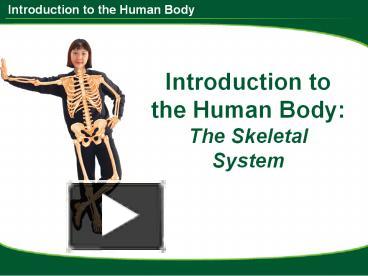 Introduction to the Human Body: The Skeletal System presentation | free ...