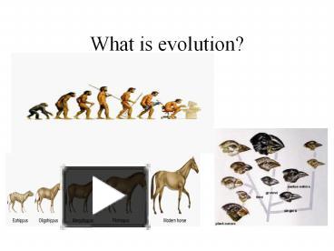 What is evolution? presentation | free to download