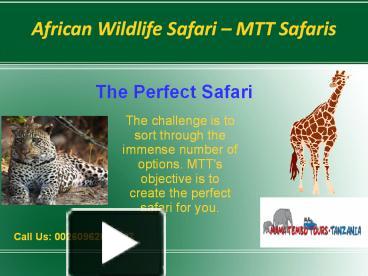 PPT – Wildlife Safari in Tanzania | MTT Safaris PowerPoint presentation ...