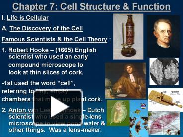 Chapter 7: Cell Structure presentation | free to download