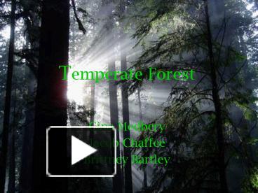 PPT – Temperate Forest PowerPoint presentation | free to view - id ...