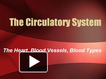 The Circulatory System presentation | free to view