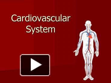 Cardiovascular System presentation | free to view