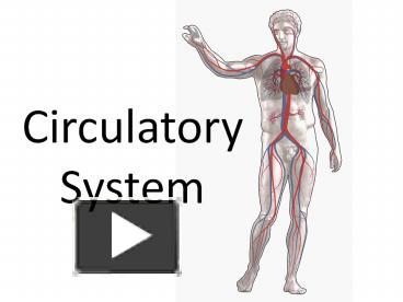 Circulatory System presentation | free to view