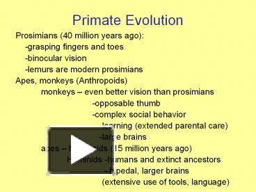 Primate Evolution presentation | free to view