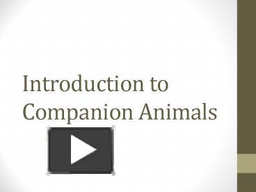 Introduction to Companion Animals presentation | free to view