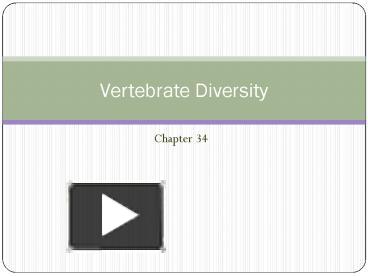 PPT – Vertebrate Diversity PowerPoint presentation | free to view - id ...