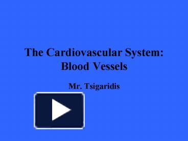 PPT – The Cardiovascular System: Blood Vessels PowerPoint presentation ...