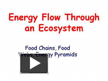 Energy Flow Through an Ecosystem presentation | free to view