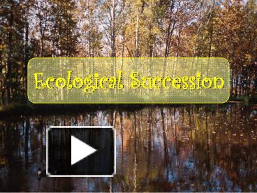 PPT – Ecological Succession PowerPoint presentation | free to download ...