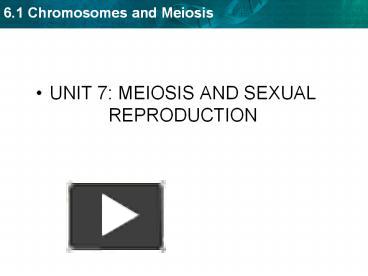 PPT – UNIT 7: MEIOSIS AND SEXUAL REPRODUCTION PowerPoint presentation ...