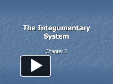The Integumentary System presentation | free to view