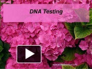 PPT – DNA Testing PowerPoint presentation | free to download - id ...