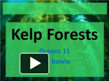 Kelp Forests presentation | free to view