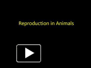 Reproduction in Animals presentation | free to view