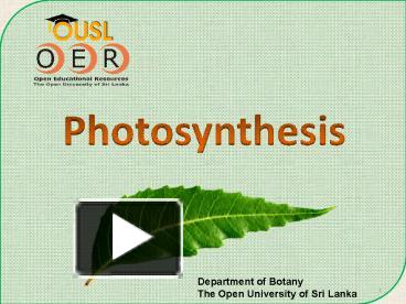 Photosynthesis presentation | free to view