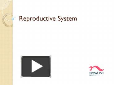 PPT – Reproductive System PowerPoint presentation | free to download ...