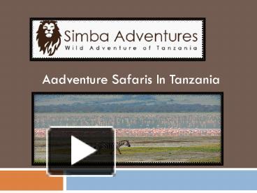 PPT – Aadventure Safaris In Tanzania PowerPoint presentation | free to download - id: 87fb49-NzZhY