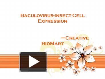 Baculovirus-Insect Cell Expression presentation | free to download