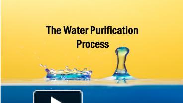 The Water Purification Process presentation | free to download