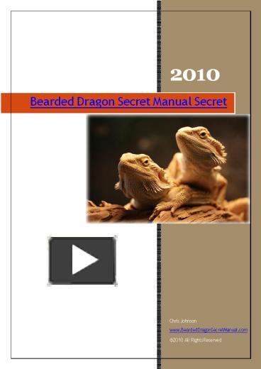 Bearded Dragon Beginner Guide presentation | free to download