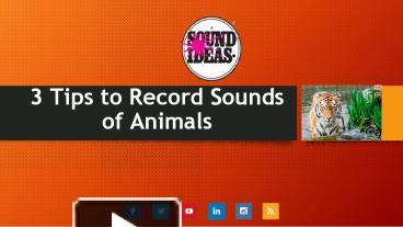 How to Record Sound of Animals? presentation | free to download