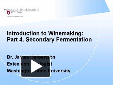 PPT – Introduction to Winemaking: Part 4' Secondary Fermentation PowerPoint presentation | free ...