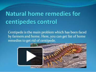 PPT – Natural home remedies for centipedes control PowerPoint presentation | free to download ...