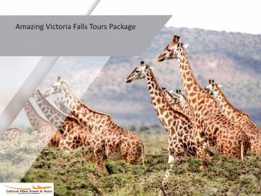 PPT – Amazing Victoria Falls Tours Package PowerPoint presentation ...