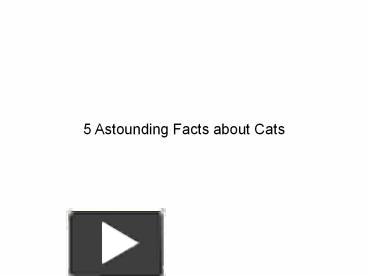 Amazing Facts about Cats presentation | free to download