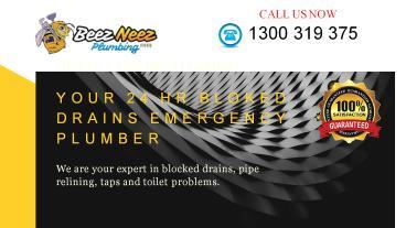 PPT – Beez Neez Plumbing PowerPoint presentation | free to download - id: 8db57c-NzU1Y