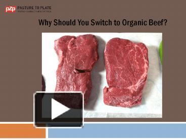 PPT – Why Should You Switch to Organic Beef? PowerPoint presentation | free to download - id ...