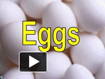 Eggs presentation | free to view