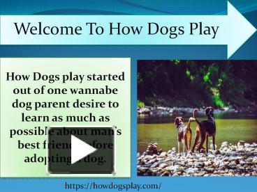 PPT – Welcome to How dogs play PowerPoint presentation | free to ...