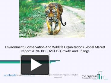 PPT – (2020-2030) Environment, Conservation And Wildlife Organizations ...